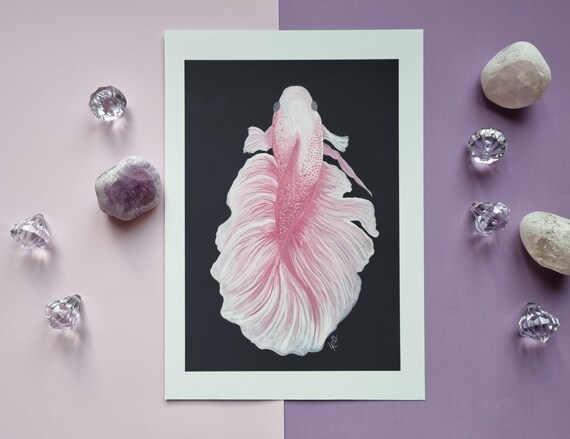 Pink Betta Fish Art Print Illustrated Gouache Painting Giclée - Etsy