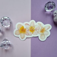 Frangipani - Etsy