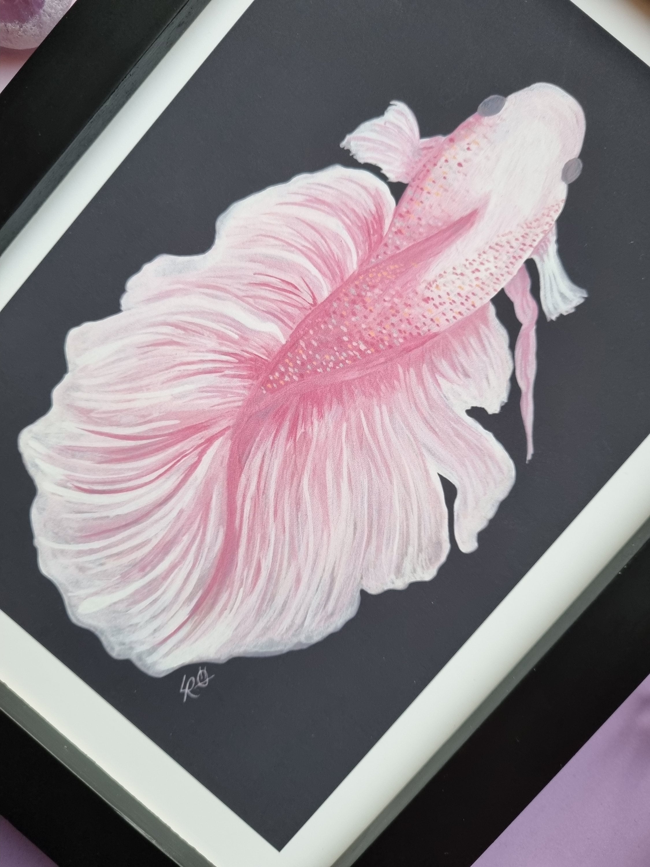 Pink Betta Fish Art Print Illustrated Gouache Painting Giclée Print A5 ...