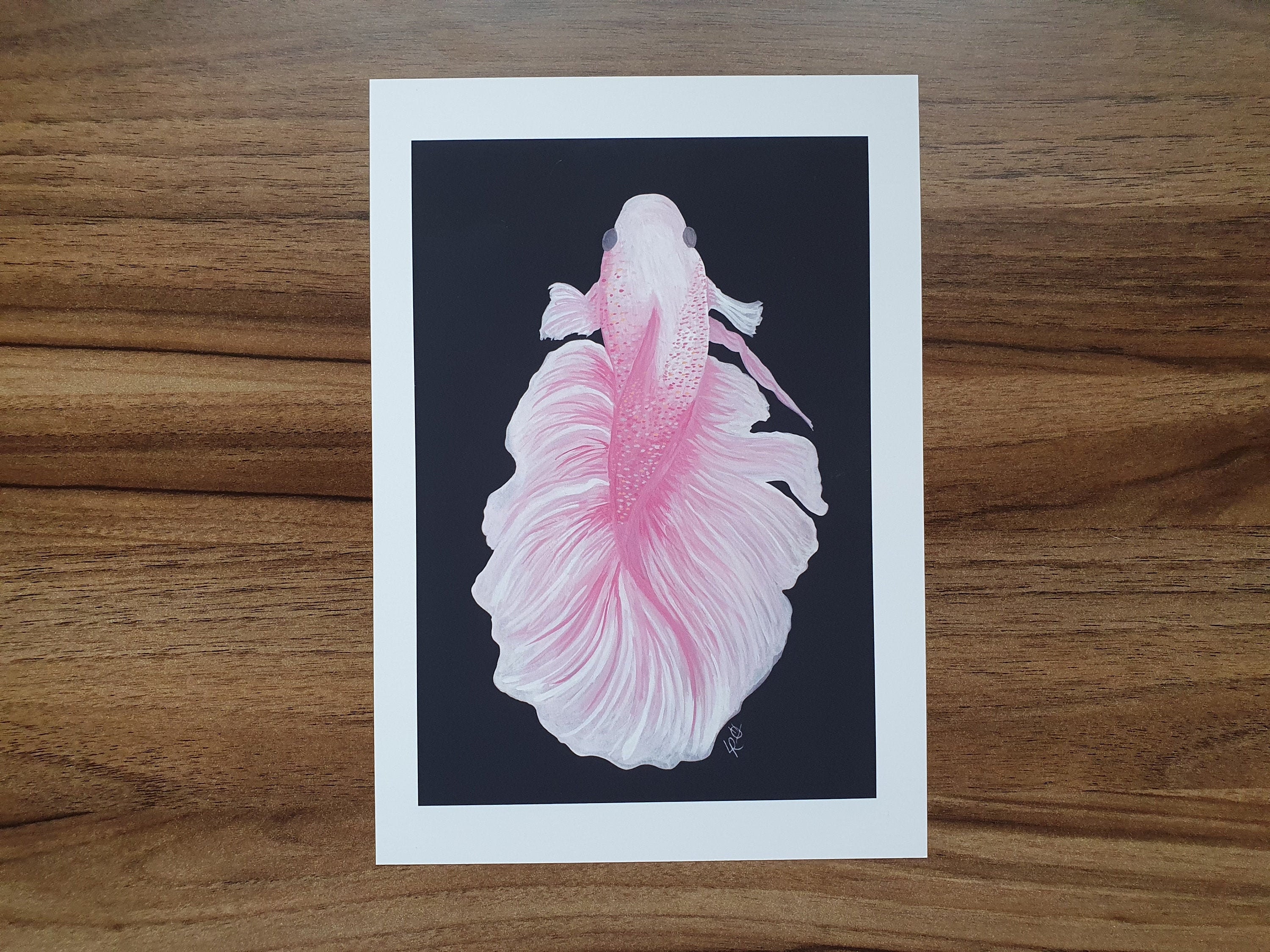 Pink Betta Fish Art Print Illustrated Gouache Painting Giclée Print A5 ...