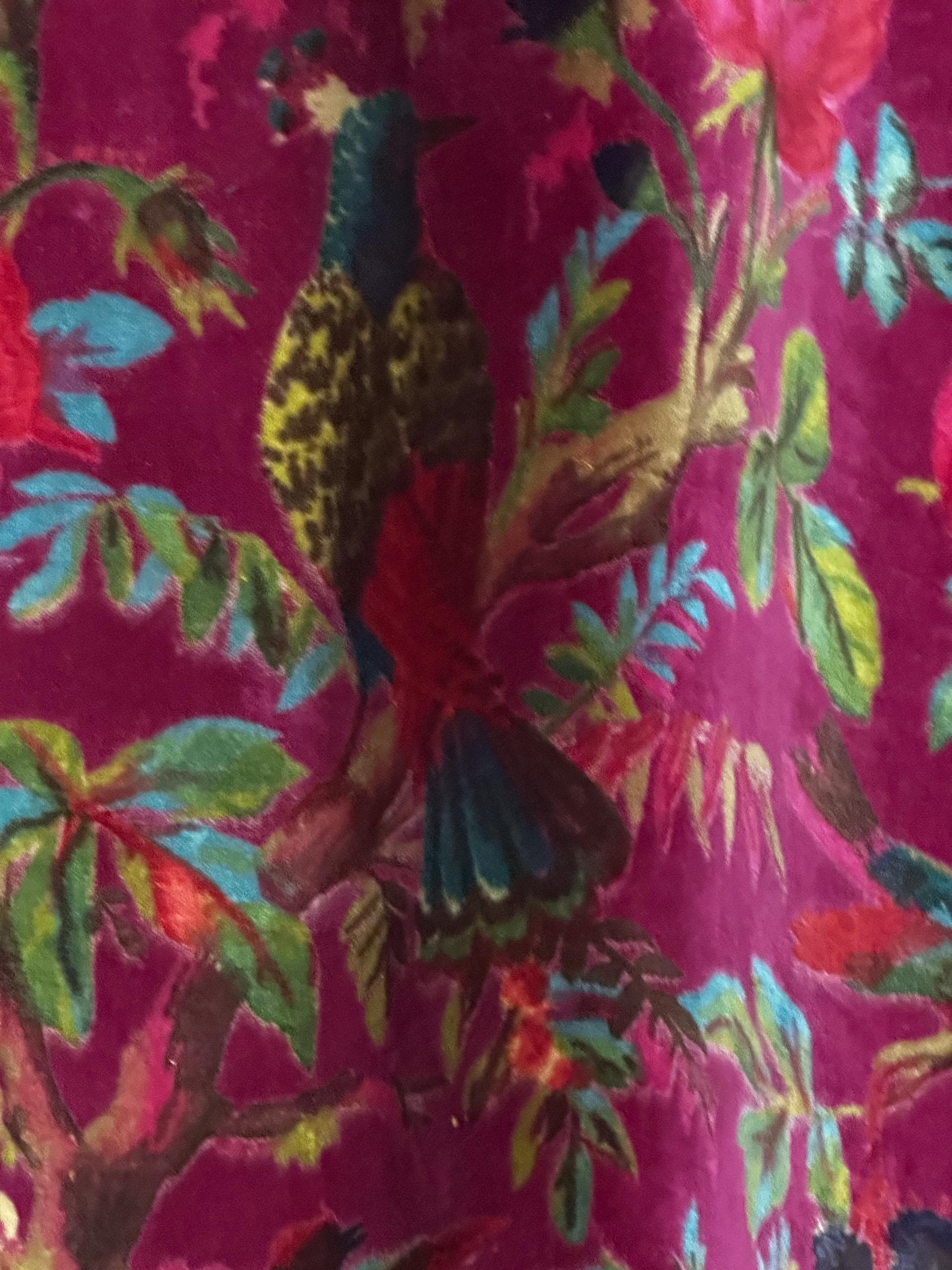 Cotton Velvet Bird Print Curtains – Moody Jewel Tone Botanical Drapes ...
