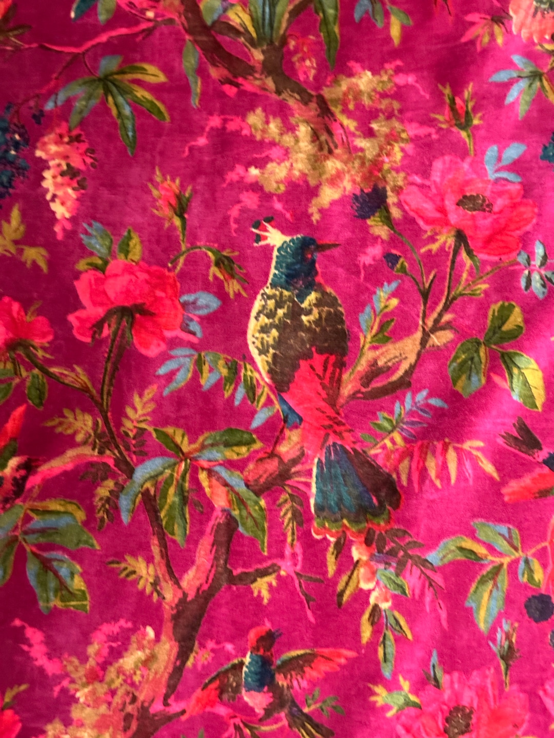 Luxury Cotton Velvet Bird Print by Yards, Velvet Fabric for Upholstery ...