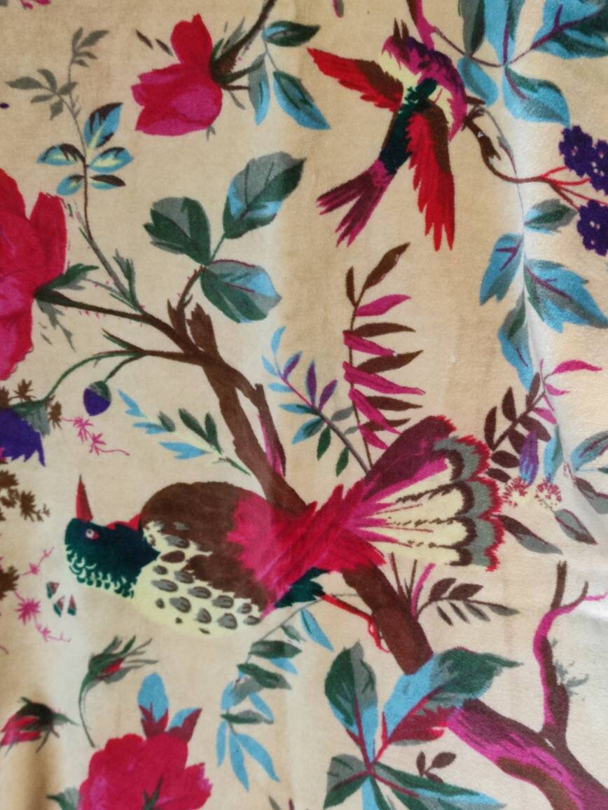 Luxury Cotton Velvet Bird Print Indian Fabric Beige Peach - Etsy