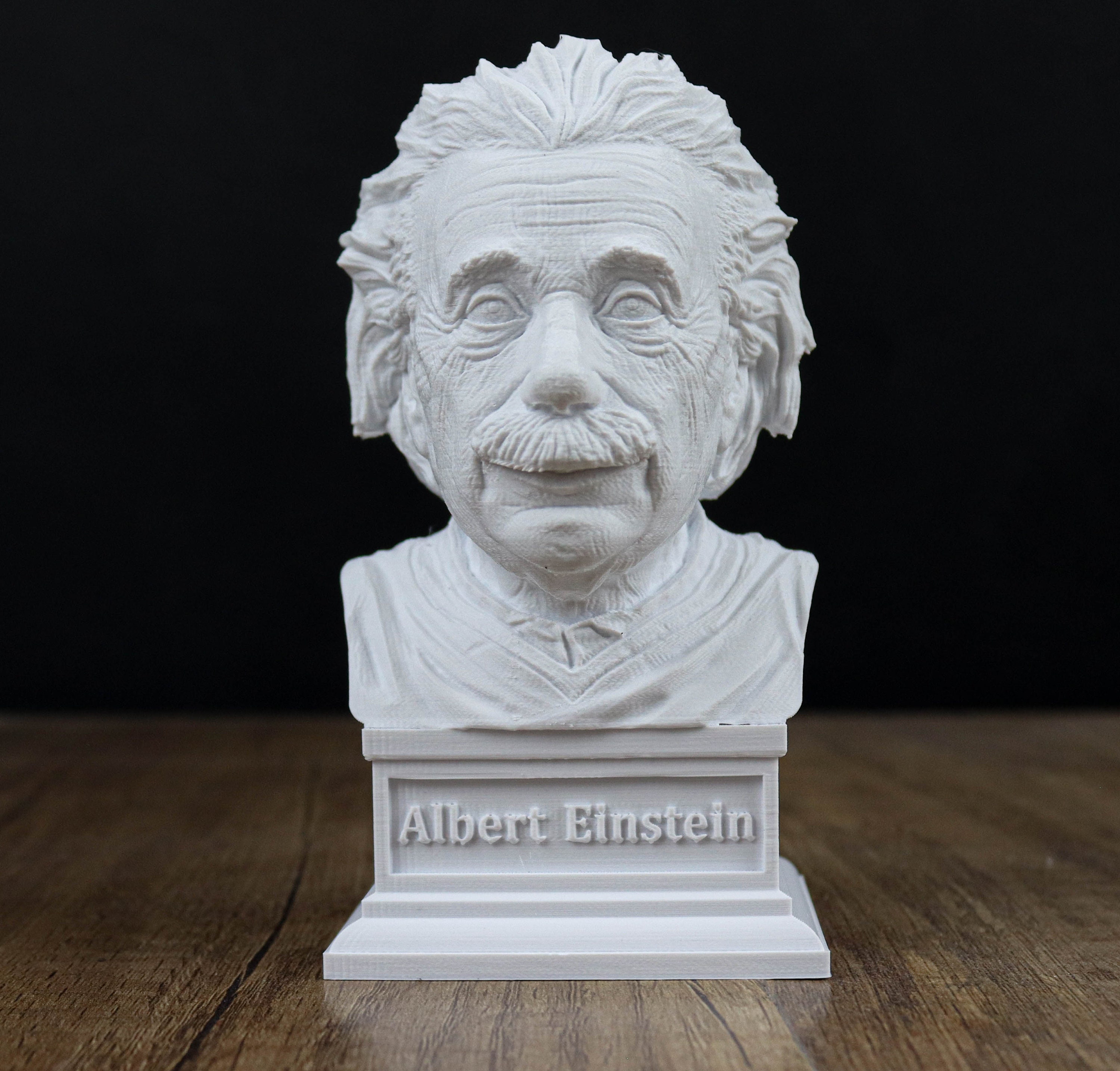 Albert Einstein Bust German Physicist and Mathematician - Etsy