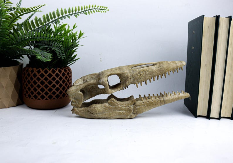 Mosasaurus Skull, Aged Reptile Skull Replica, Prehistoric Dinosaur ...