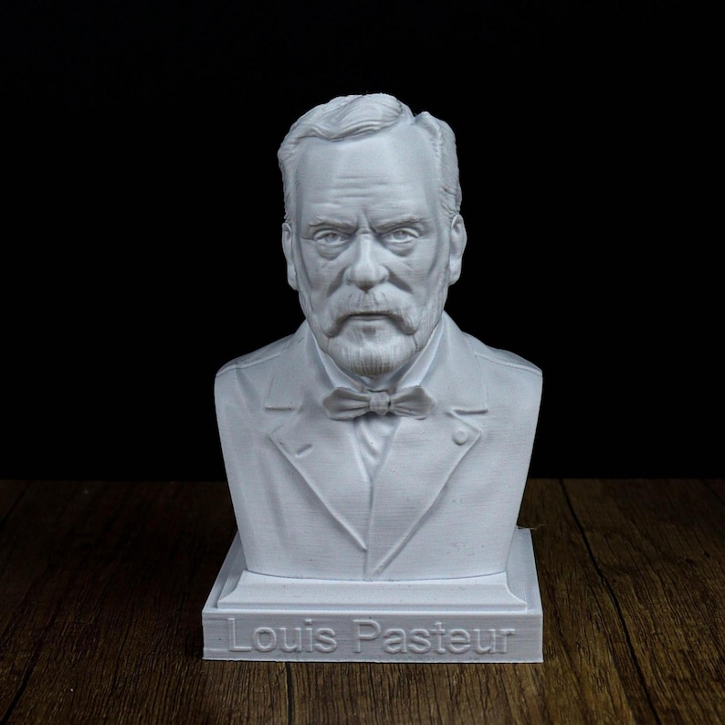 Louis Pasteur Bust, Scientist Statue for Bookshelf Decor, Microbiology ...