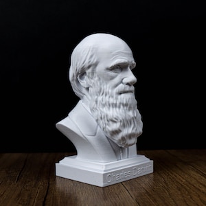 Philosophers Busts Value Pack Collection: Friedrich Nietzsche, Sigmund ...