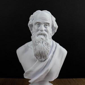 Pythagoras Bust, Ancient Mathematician Statue, Greek Mythology Inspired ...