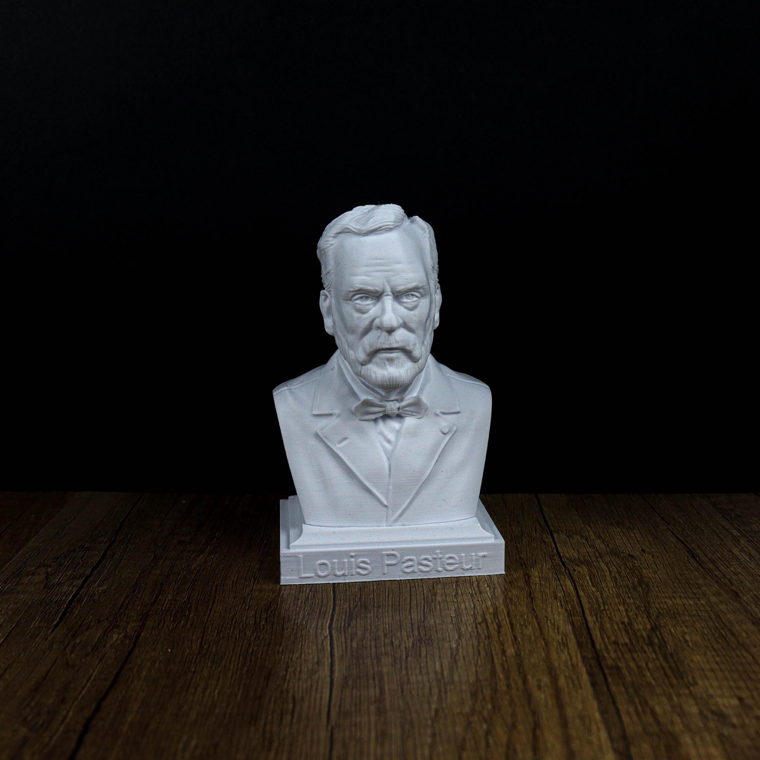 Louis Pasteur Bust, Scientist Statue for Bookshelf Decor, Microbiology ...
