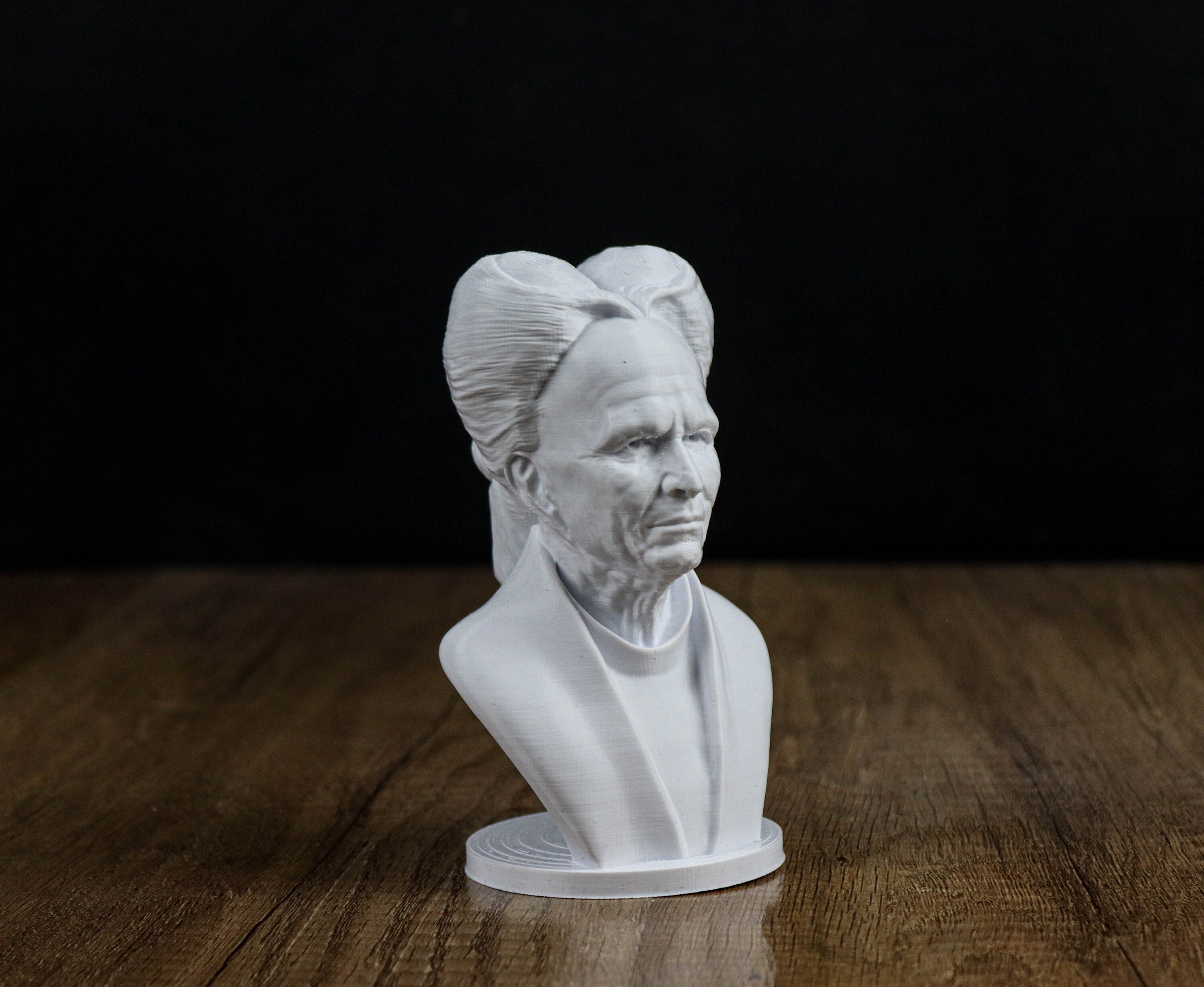 Dracula Bust Gary Oldman 3d Printed Sculpture - Etsy