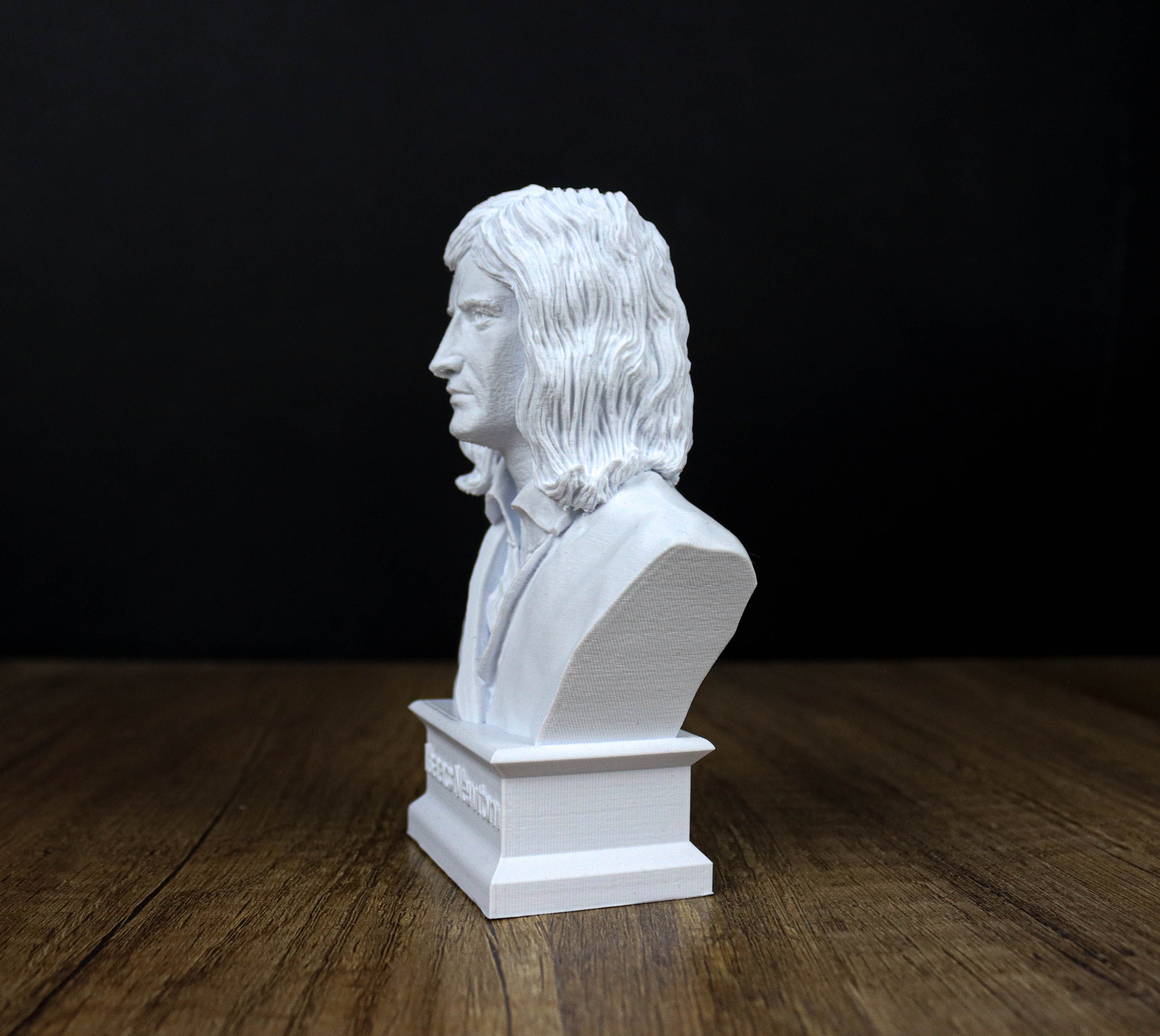 Sir Isaac Newton Bust English Mathematician Physicist - Etsy UK