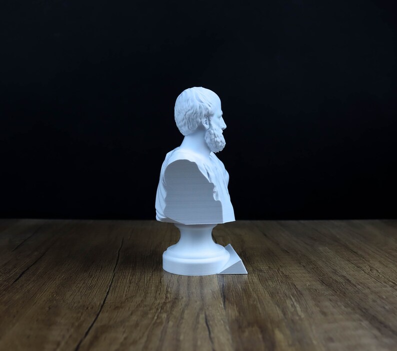 Aristotle Bust Greek Philosopher Statue Greek Mythology - Etsy