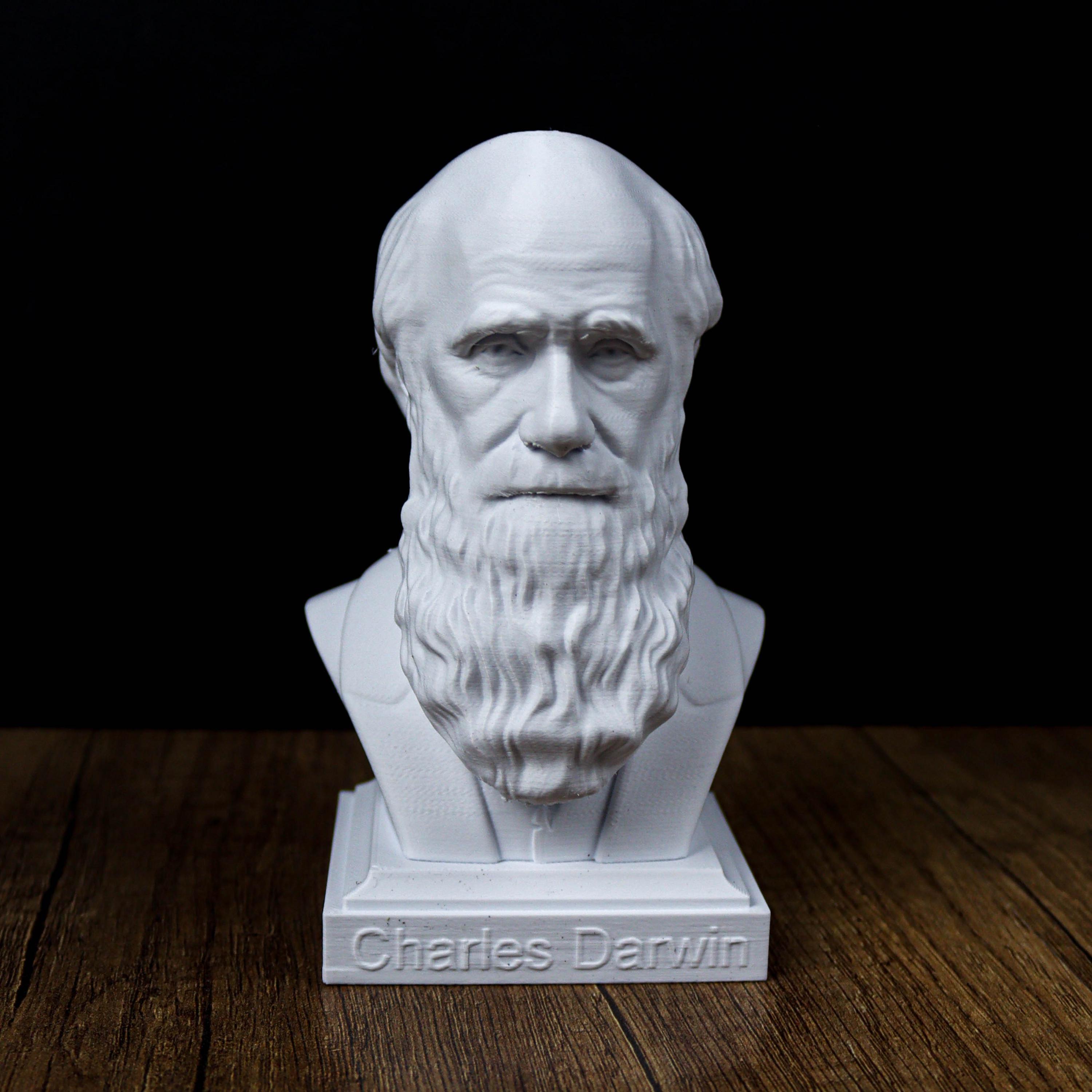 Philosophers Busts Value Pack Collection: Friedrich Nietzsche, Sigmund ...