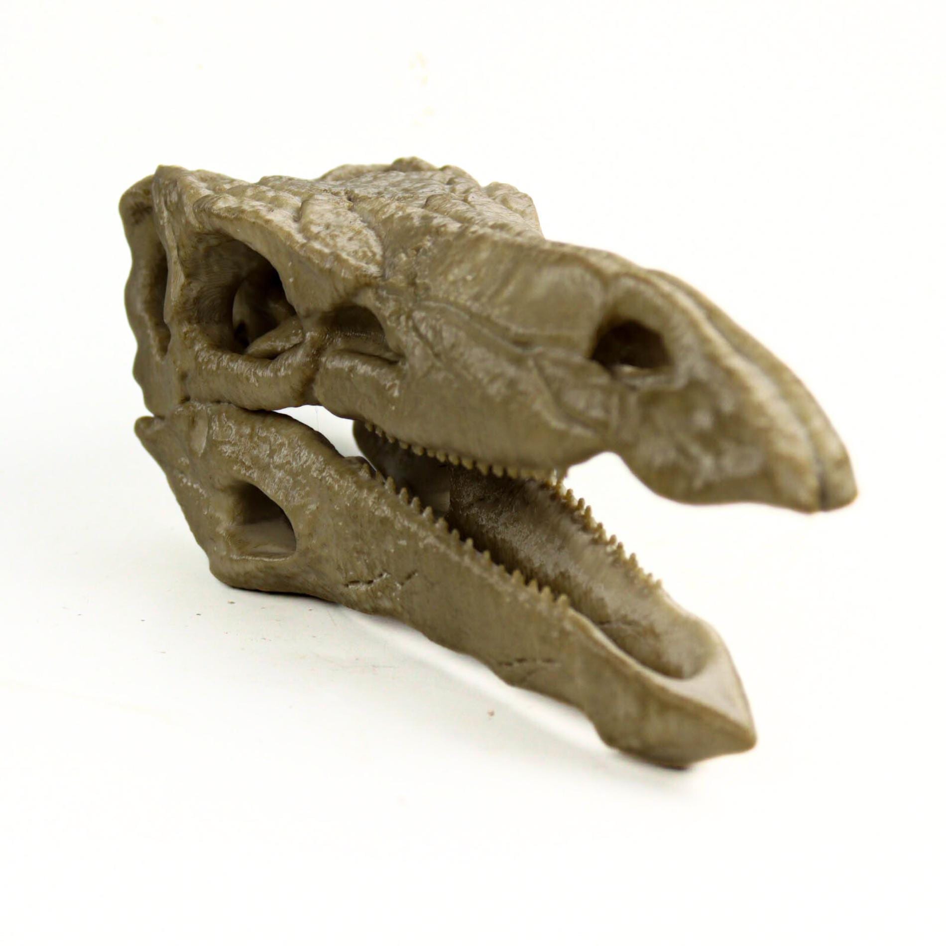 Stegosaurus Skull Replica, Dinosaur Skull Decor, Aged/worn Finish - Etsy