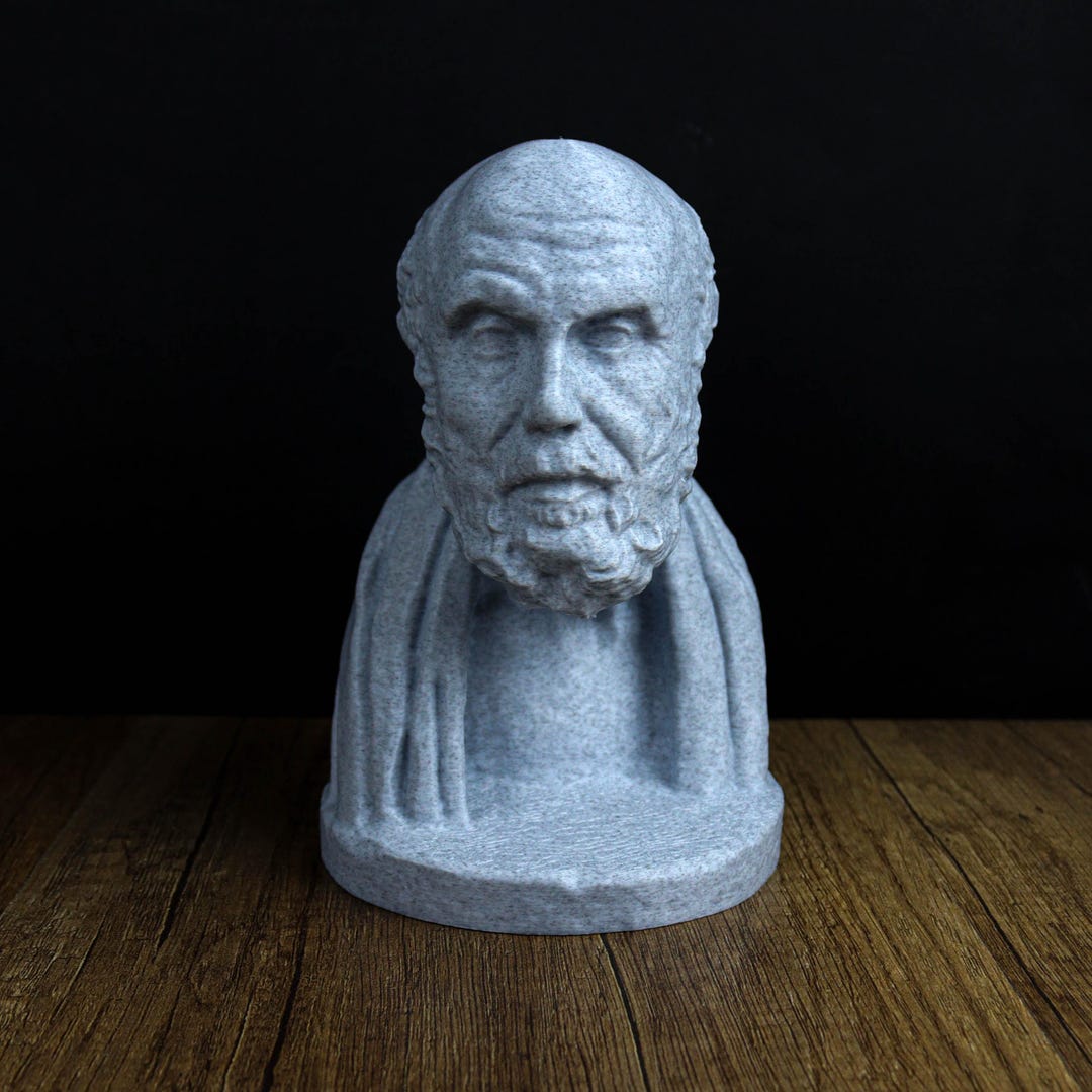 Chrysippus Bust, Statue of Ancient Stoic Philosopher for Bookshelf and ...