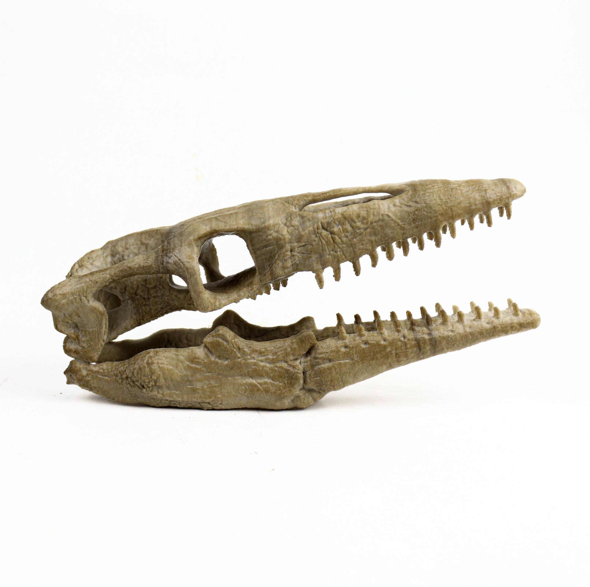 Mosasaurus Skull, Aged Reptile Skull Replica, Prehistoric Dinosaur ...