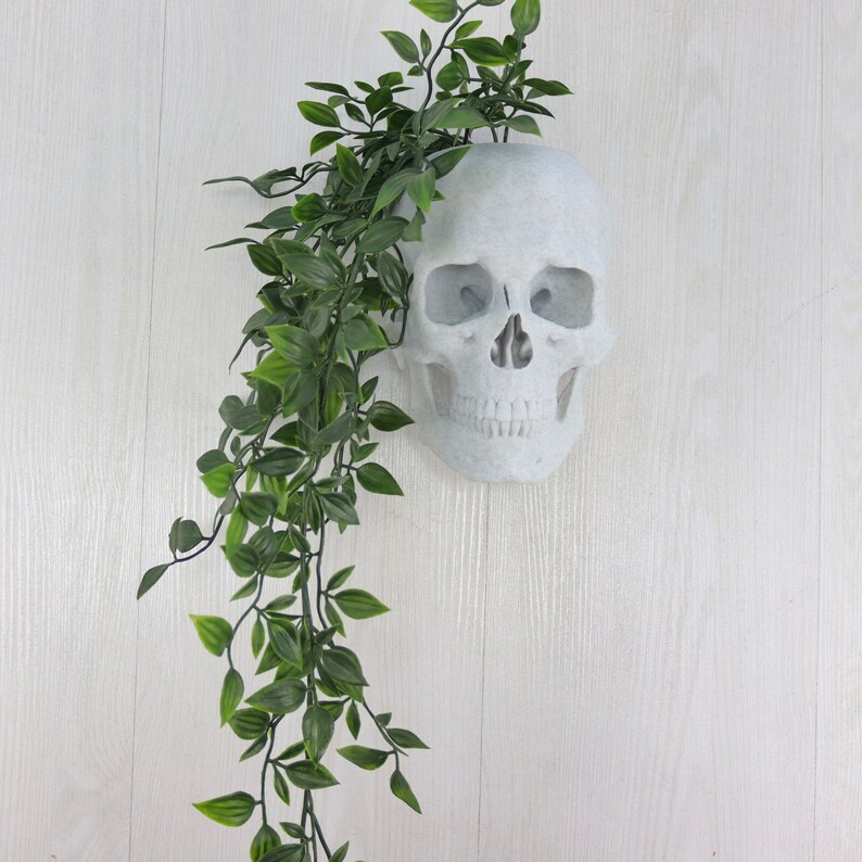 Skull Wall Planter Hanging Planter Human Skull Pots Gothic - Etsy