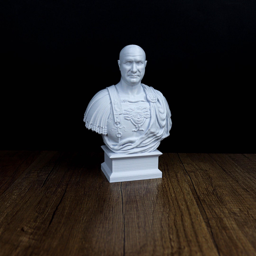 Scipio Africanus Bust, Roman General Bookshelf and Home Decor - Etsy