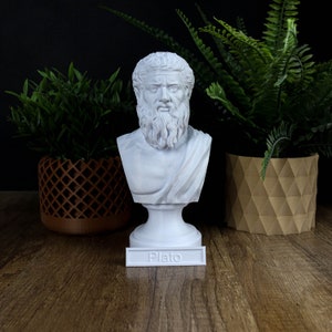 Plato Bust, Greek Philosopher Statue, Greek Mythology Inspired ...