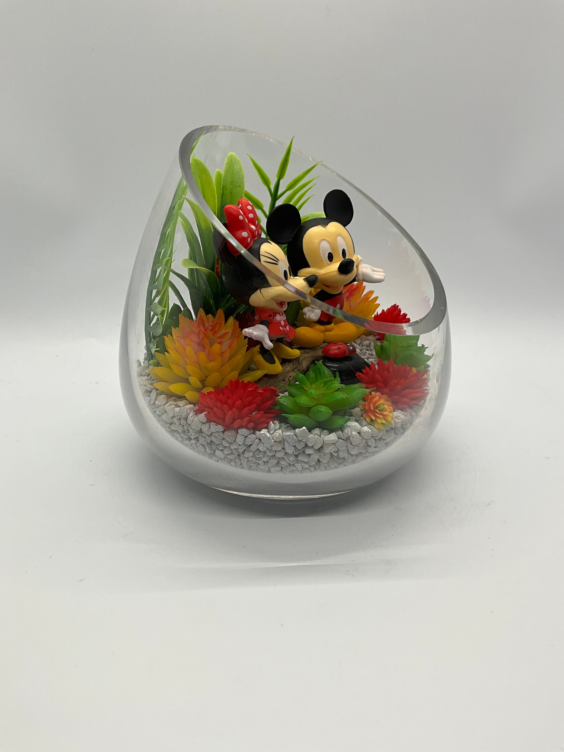 Mickey & Minnie Mouse Terrarium Kit Artificial Succulent - Etsy