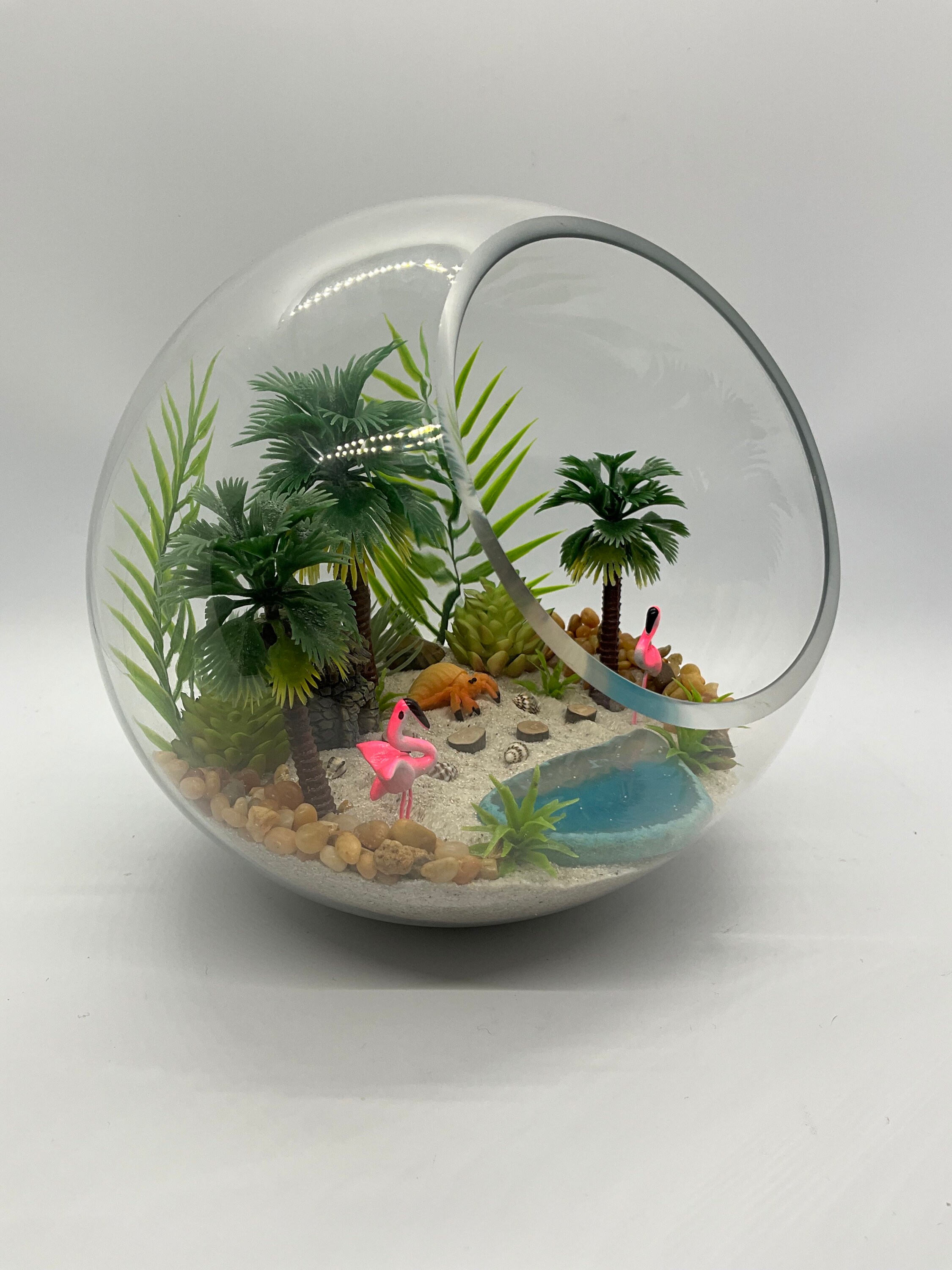 Tropical Oasis Terrarium Kit 6 Slant Cut Round Glass - Etsy