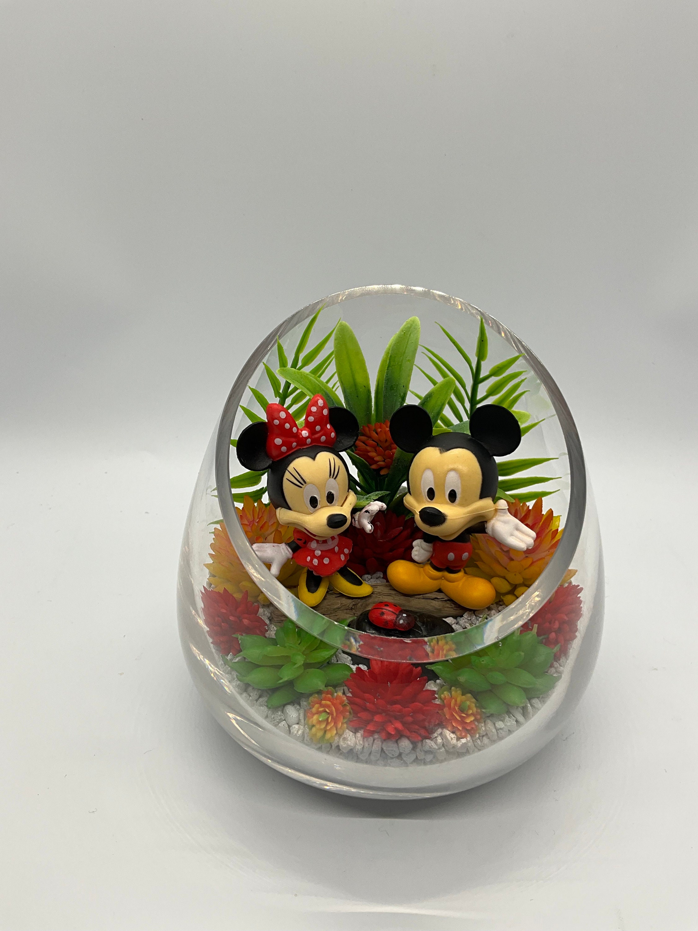 Mickey & Minnie Mouse Terrarium Kit Artificial Succulent Terrarium ...