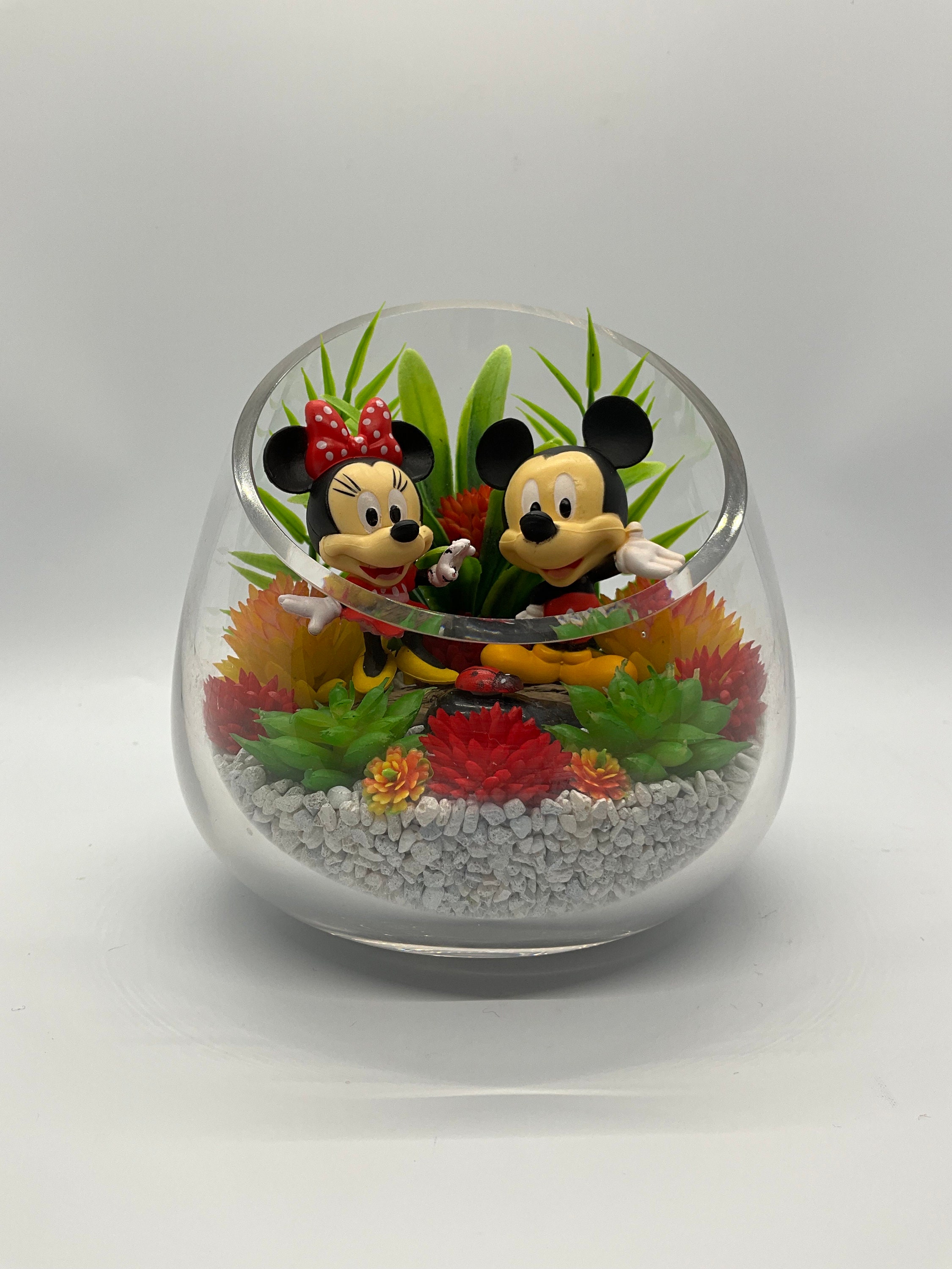 Mickey & Minnie Mouse Terrarium Kit Artificial Succulent - Etsy