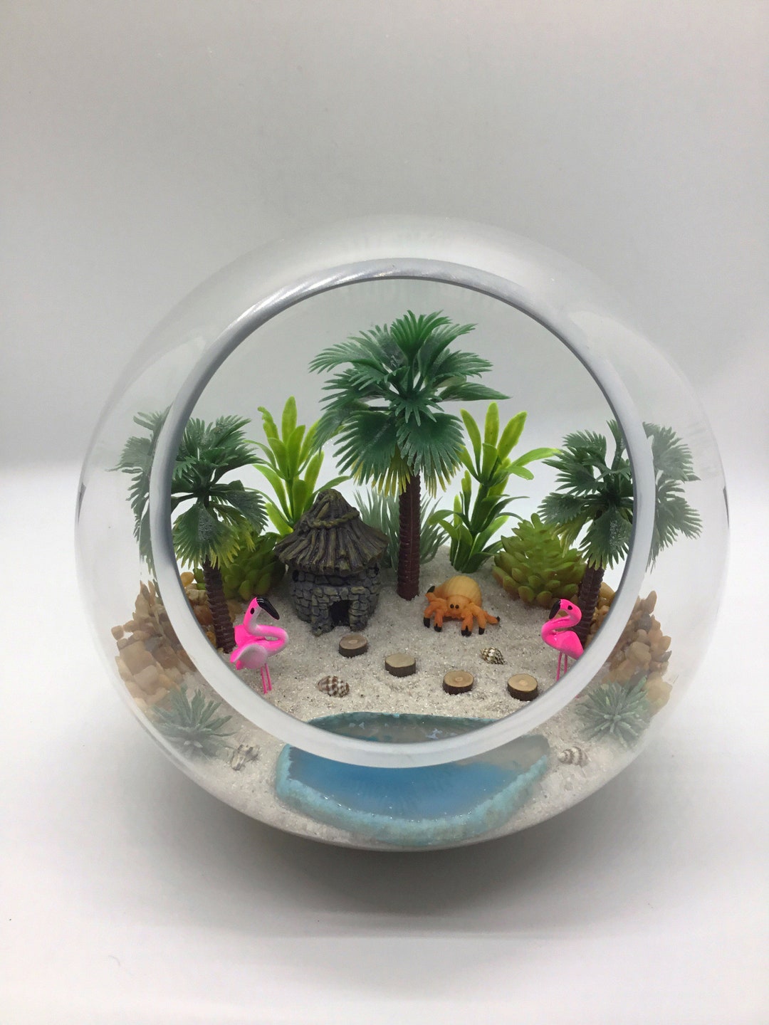 Tropical Oasis Terrarium Kit 6 Slant Cut Round Glass - Etsy