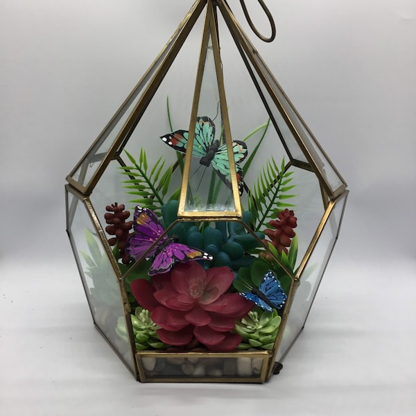 Butterfly Terrarium - Etsy