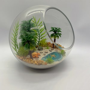 Tropical Oasis Terrarium Kit - 6” Slant Cut Round Glass Terrarium ...