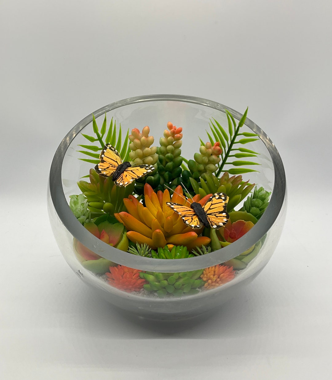 Butterfly Terrarium Kit Artificial Succulent Terrarium 6 - Etsy