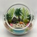 Tropical Oasis Terrarium Kit 6 Slant Cut Round Glass - Etsy