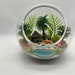 Tropical Oasis Terrarium Kit 6 Slant Cut Round Glass - Etsy