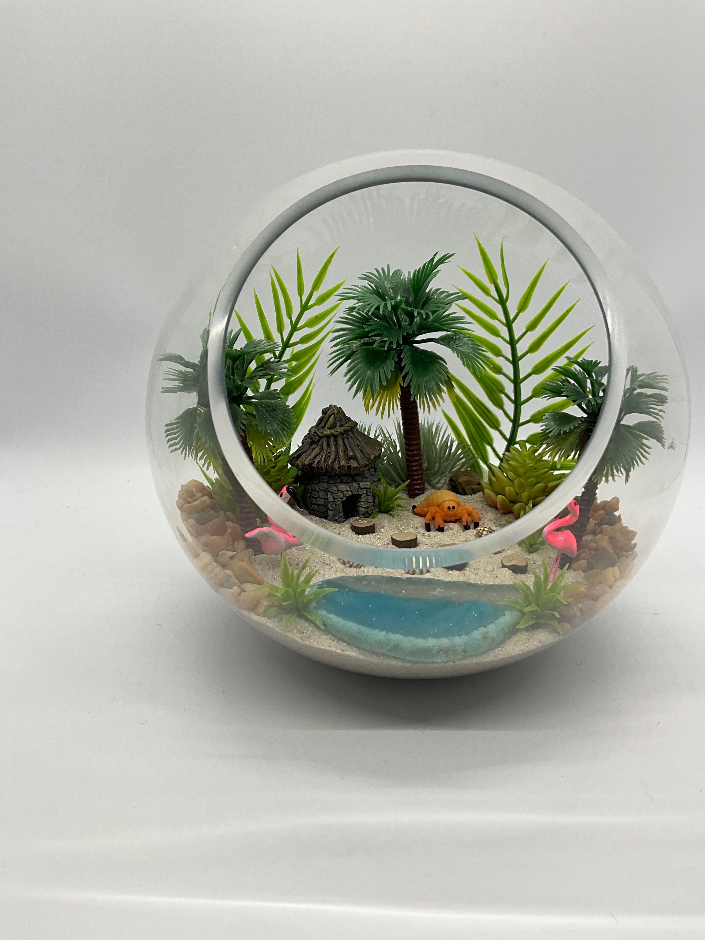 Tropical Oasis Terrarium Kit 6 Slant Cut Round Glass - Etsy