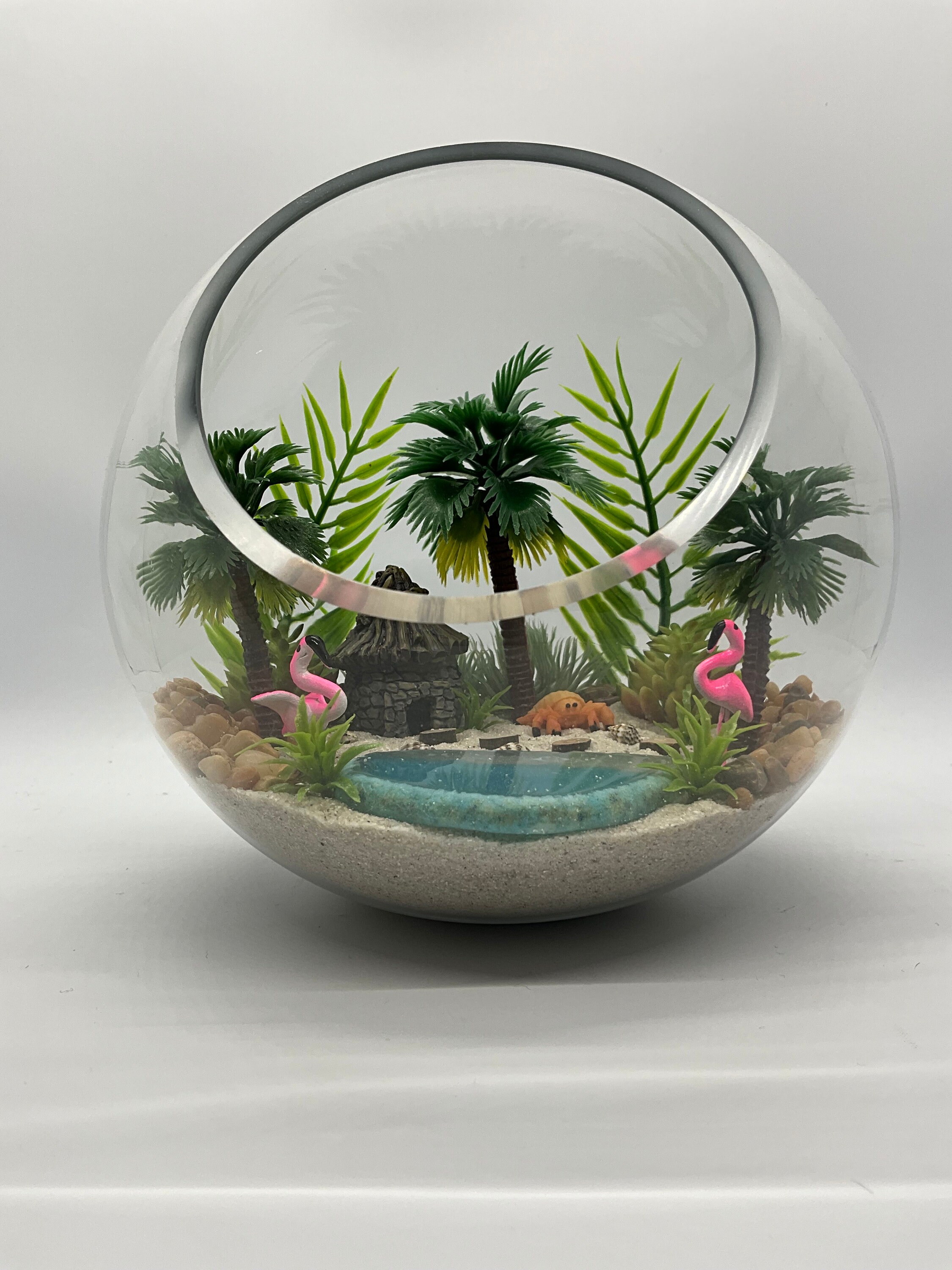 Tropical Oasis Terrarium Kit 6 Slant Cut Round Glass - Etsy