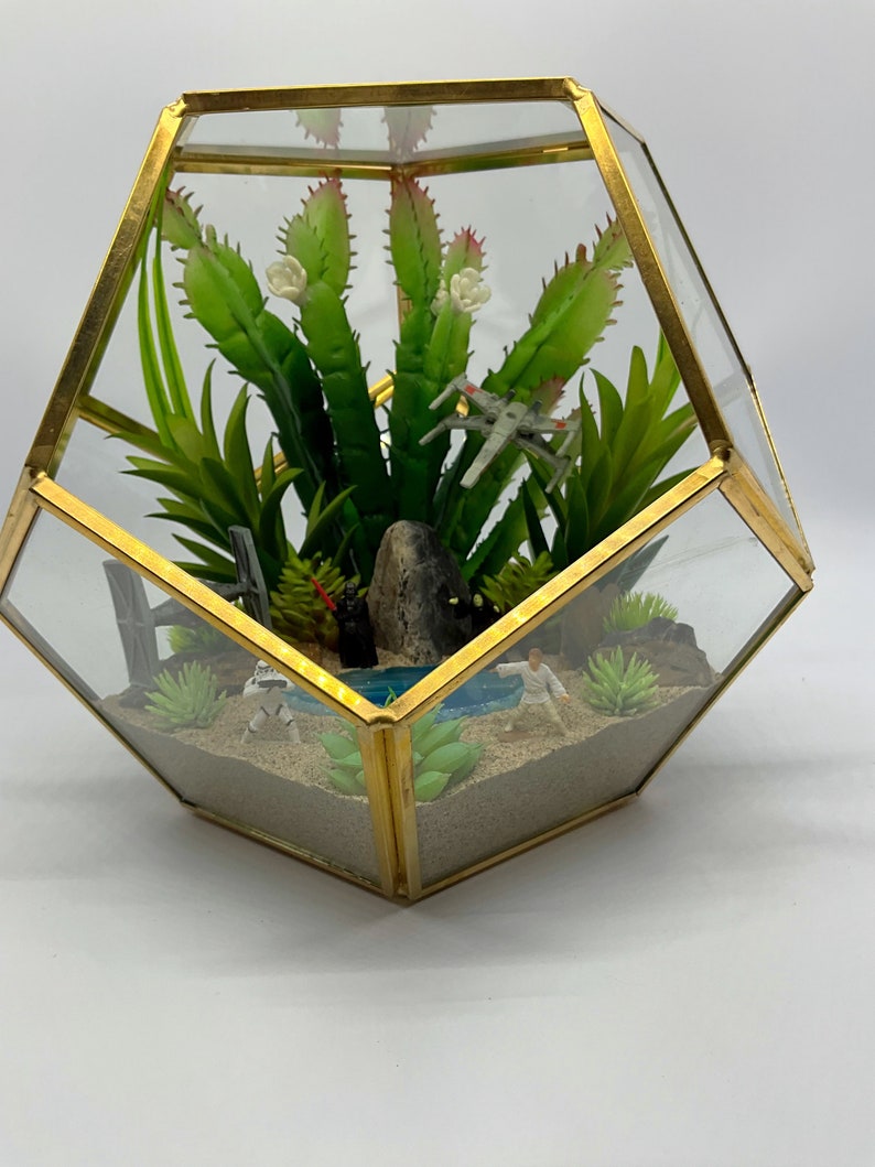 Star Wars Terrarium Kit - Artificial Succulent Terrarium Kit - 8” Gold ...