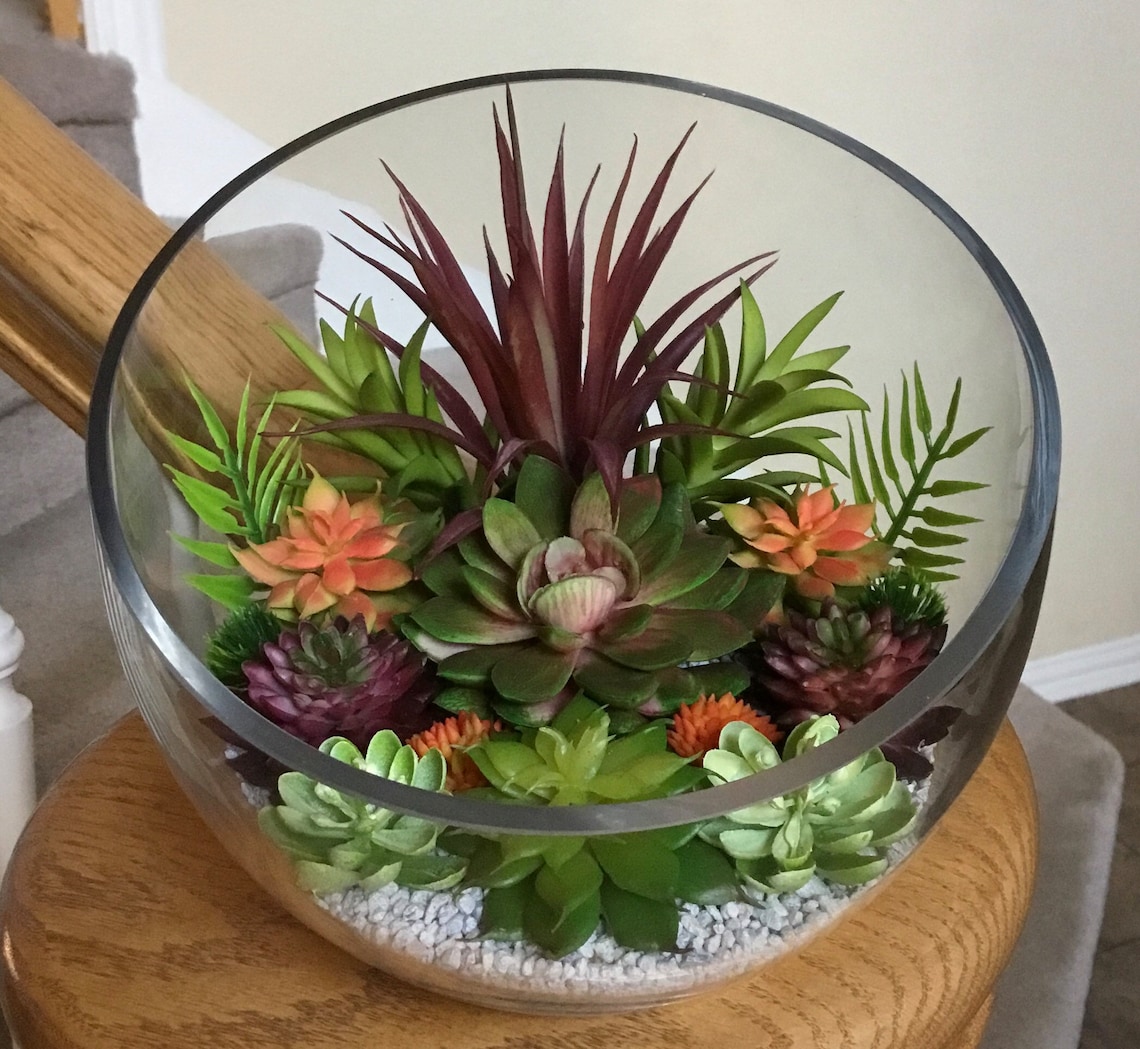 Artificial Succulent Terrarium Kit 7slant Cut Glass Terrarium Succulent ...