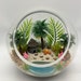 Tropical Oasis Terrarium Kit 6 Slant Cut Round Glass - Etsy