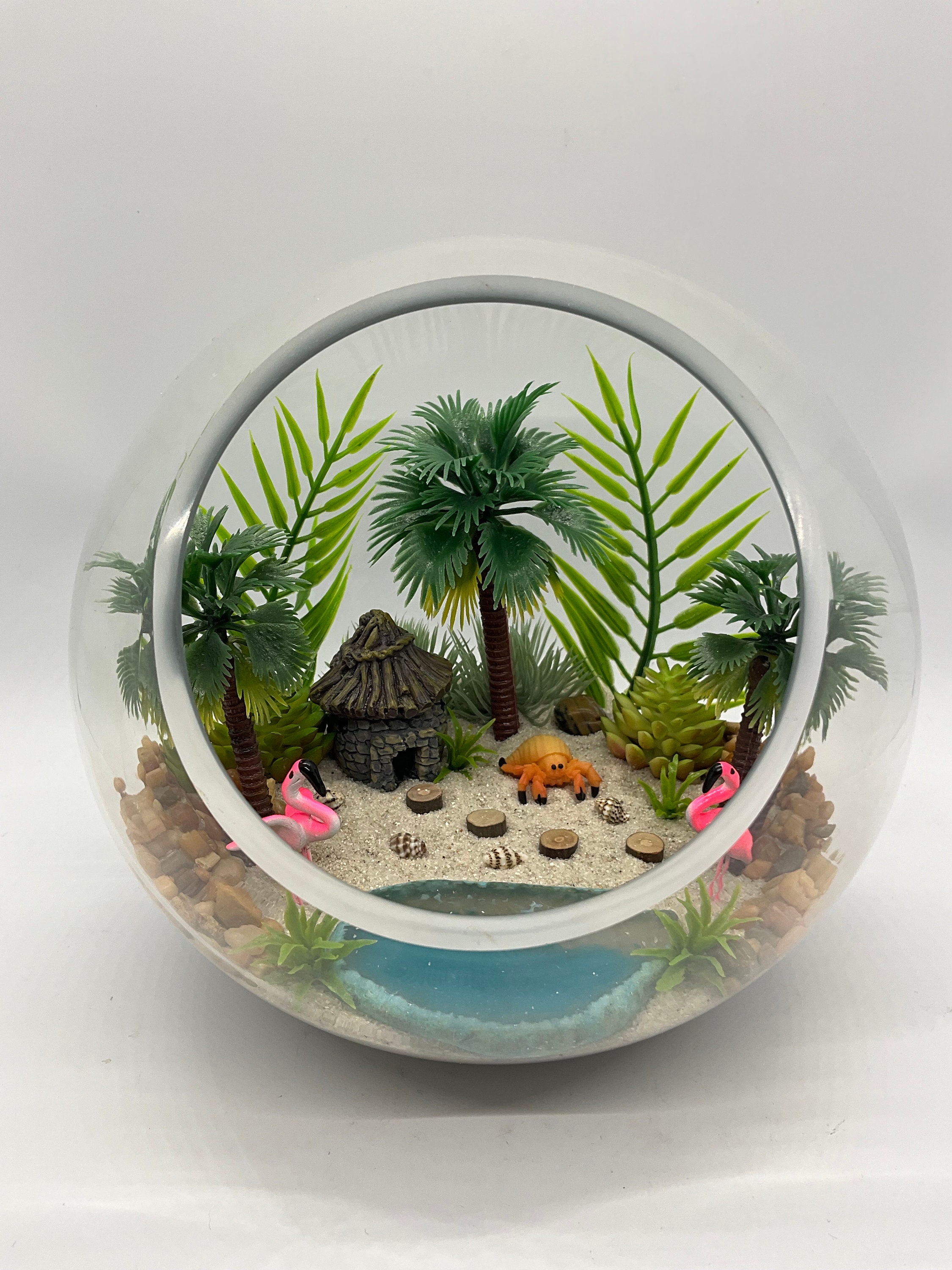 Tropical Oasis Terrarium Kit 6 Slant Cut Round Glass - Etsy