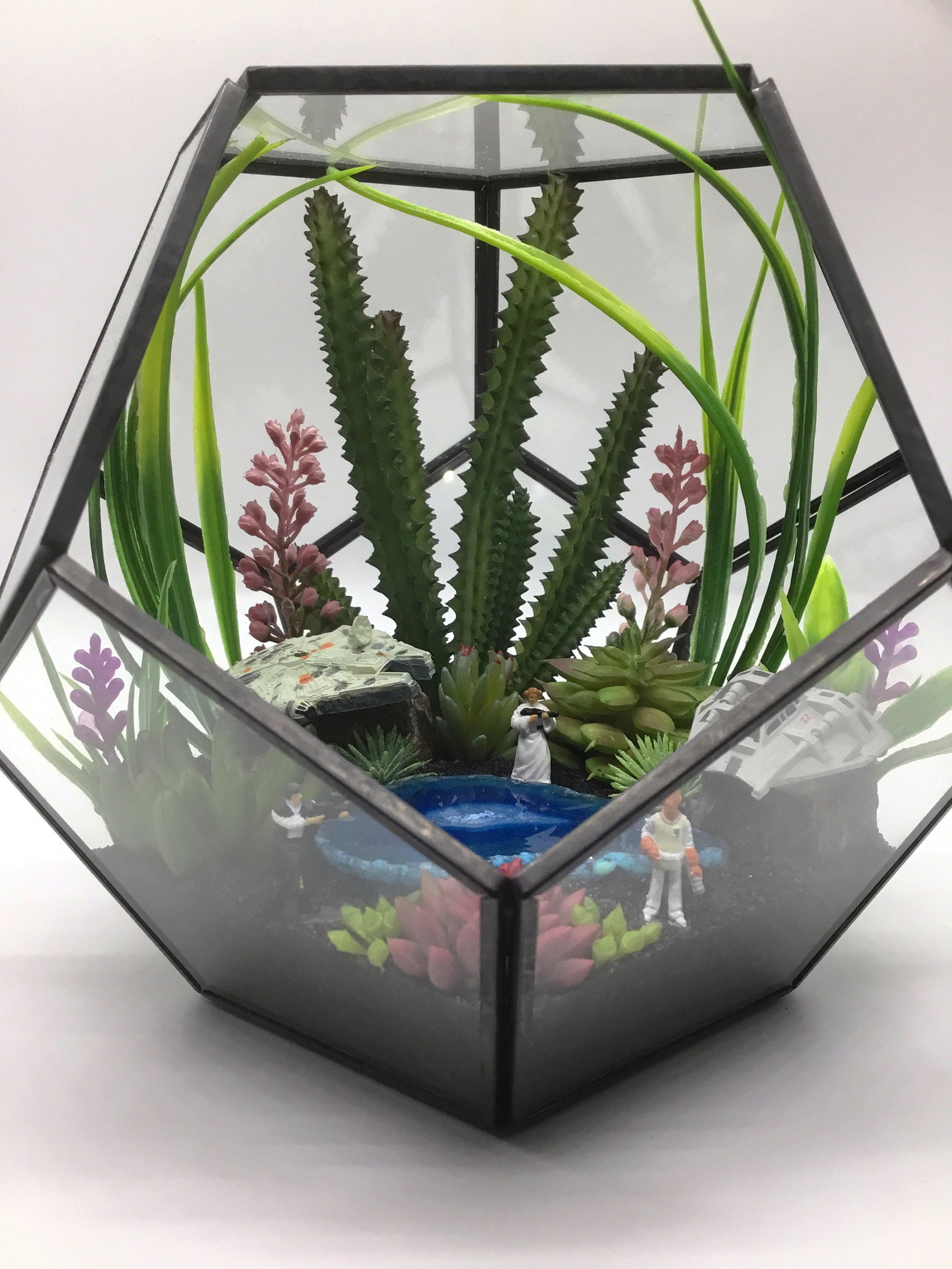 Star Wars Terrarium Kit Artificial Succulent Terrarium - Etsy