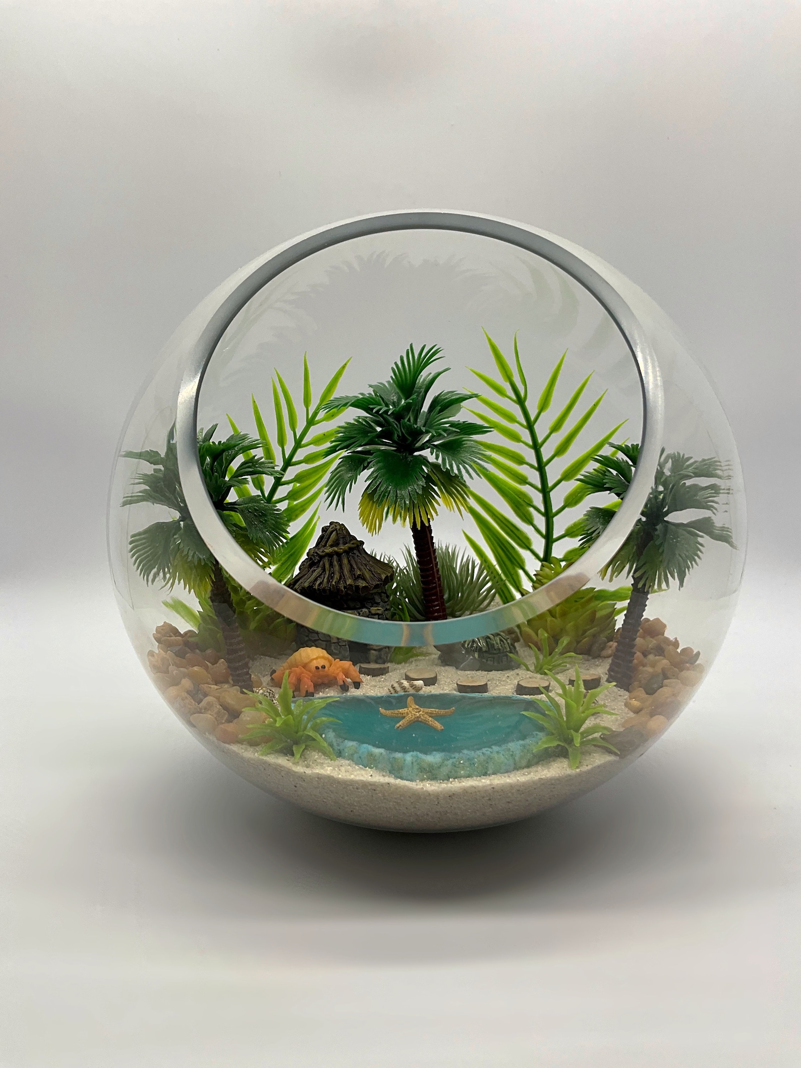 Tropical Oasis Terrarium Kit - 6” Slant Cut Round Glass Terrarium ...