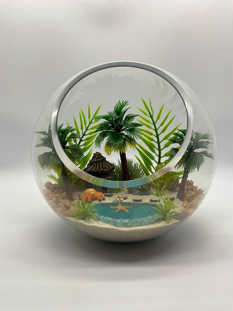 Tropical Oasis Terrarium Kit - 6” Slant Cut Round Glass Terrarium ...