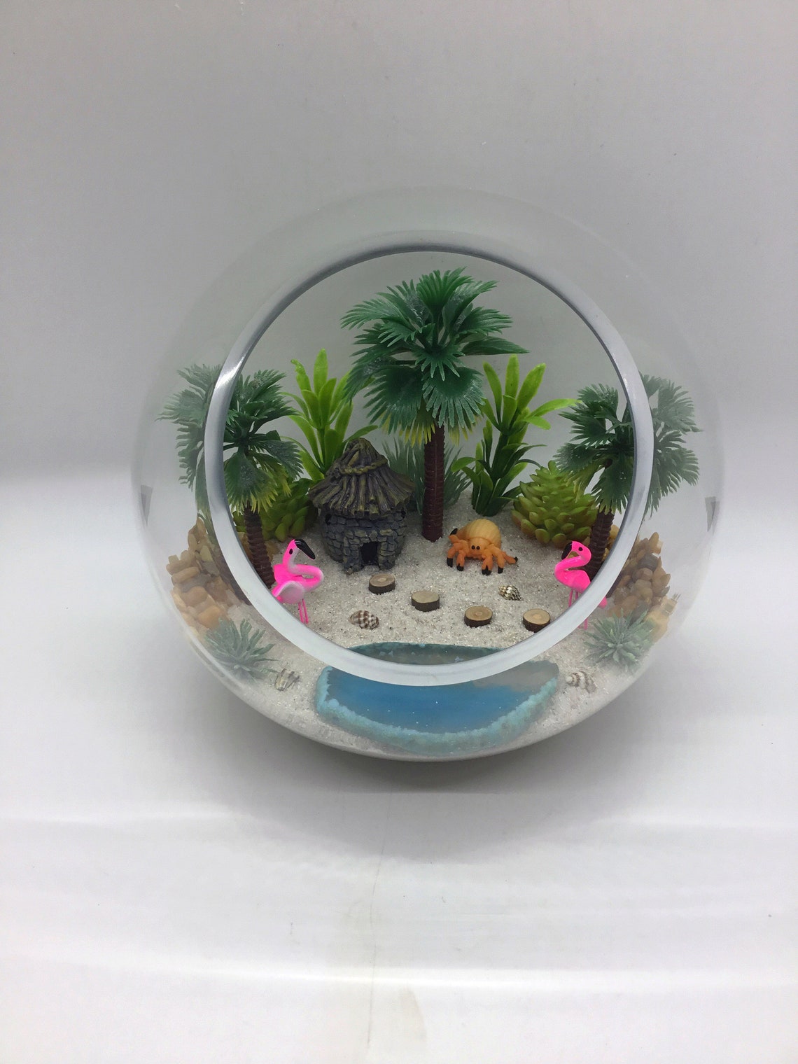 Tropical Oasis Terrarium Kit 6 Slant Cut Round Glass - Etsy