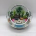 Tropical Oasis Terrarium Kit 6 Slant Cut Round Glass - Etsy