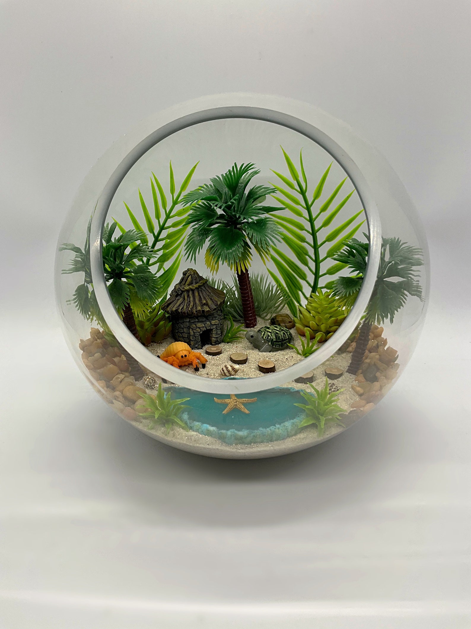 Tropical Oasis Terrarium Kit - 6” Slant Cut Round Glass Terrarium ...