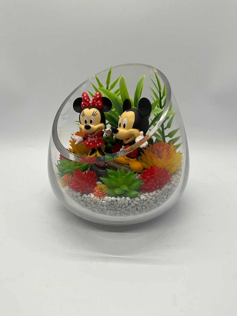 Mickey & Minnie Mouse Terrarium Kit Artificial Succulent - Etsy