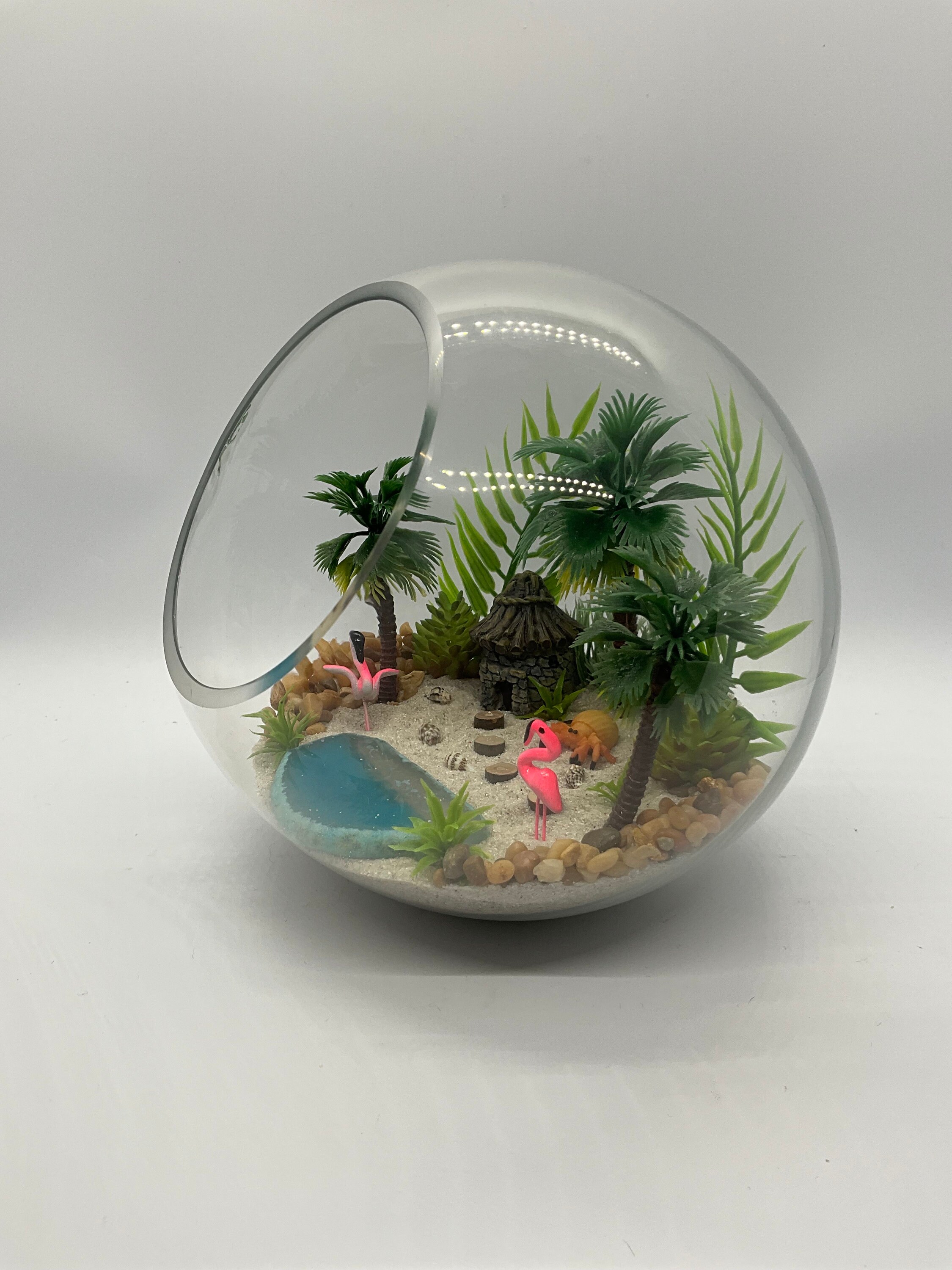 Tropical Oasis Terrarium Kit 6 Slant Cut Round Glass - Etsy