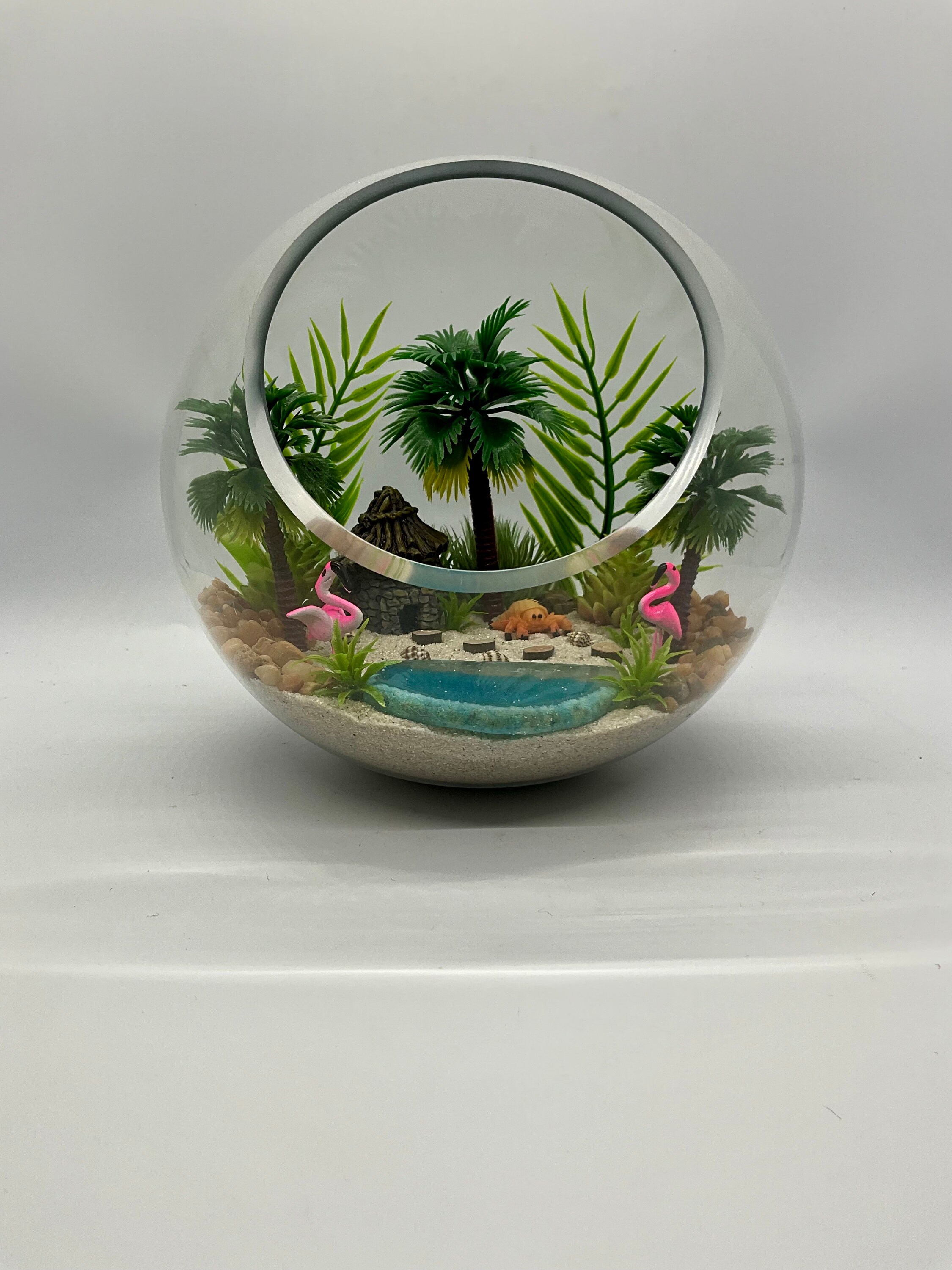 Tropical Oasis Terrarium Kit 6 Slant Cut Round Glass - Etsy