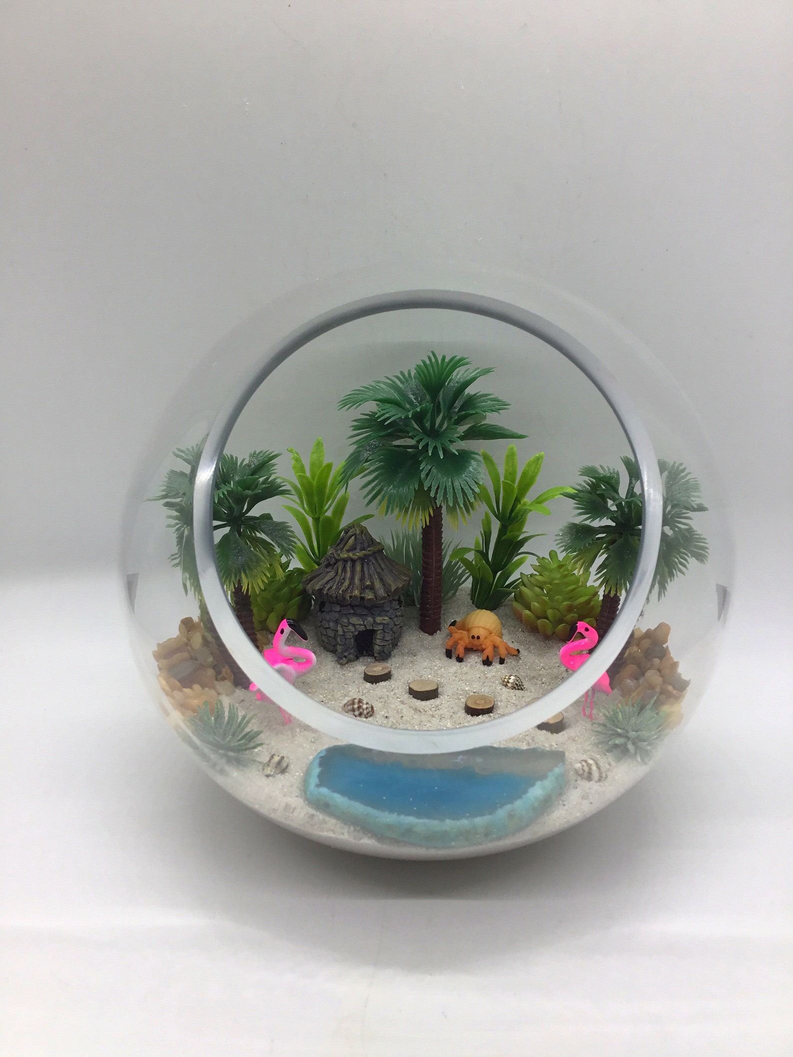 Tropical Oasis Terrarium Kit 6 Slant Cut Round Glass - Etsy