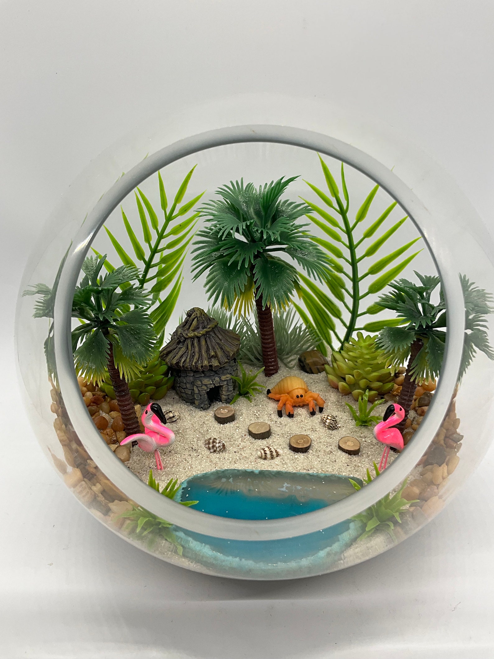 Tropical Oasis Terrarium Kit 6 Slant Cut Round Glass - Etsy